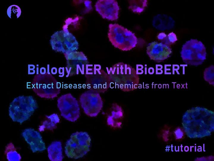 Biology Named Entity Recognition with BioBERT | News @ machinelearning.sg